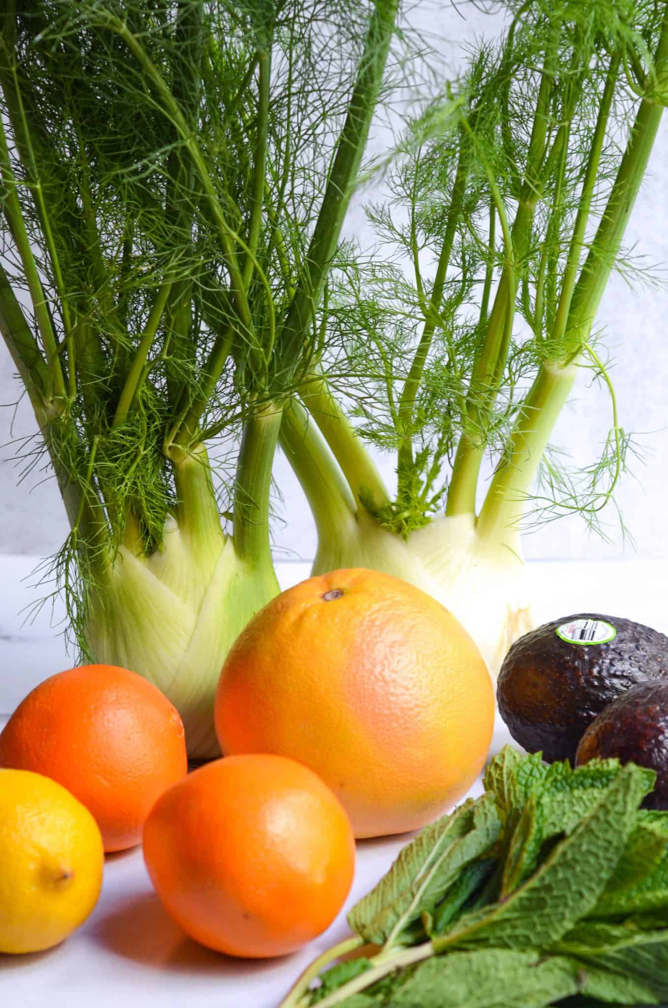 Citrus Fennel Salad with Grapefruit Vinaigrette - Worn Slap Out