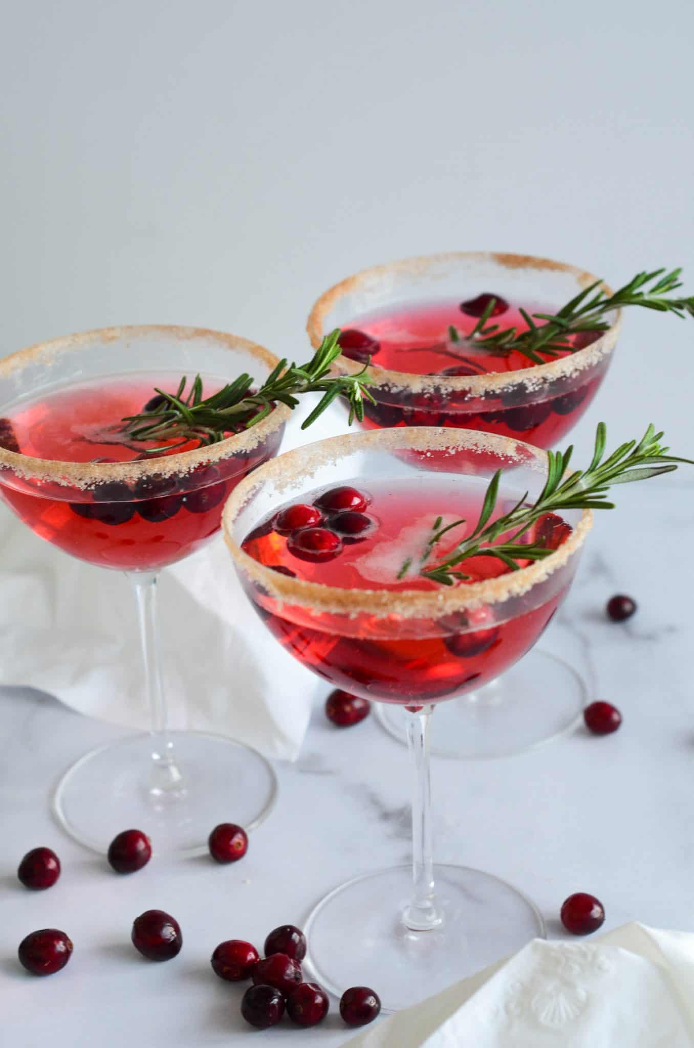 Cranberry Sparkler Cocktail w/ Cinnamon and Sugar Rim - Worn Slap Out