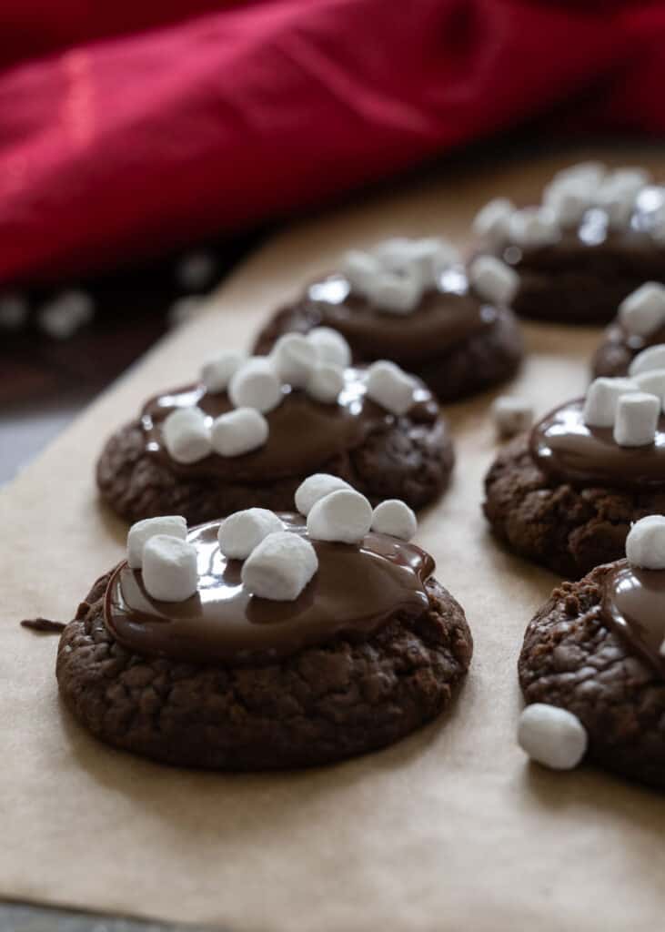 Cozy Hot Cocoa Cookies - Worn Slap Out