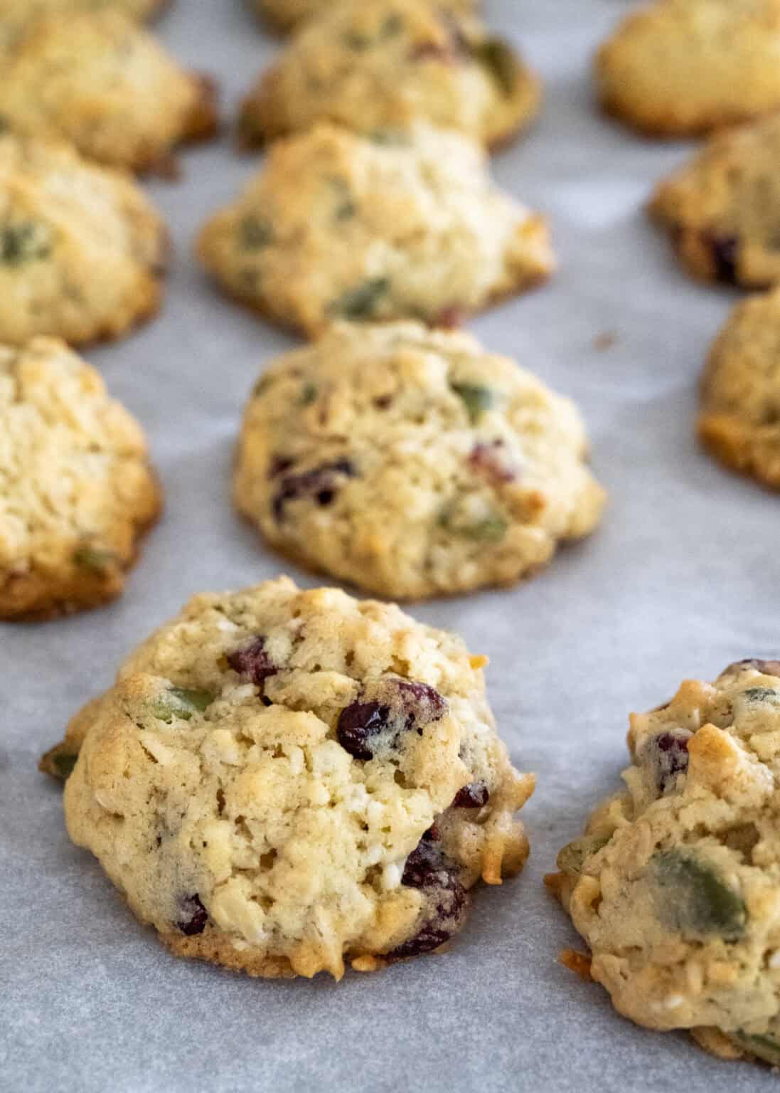 Big Sky Bird Seed Cookies (For Humans!) - Worn Slap Out